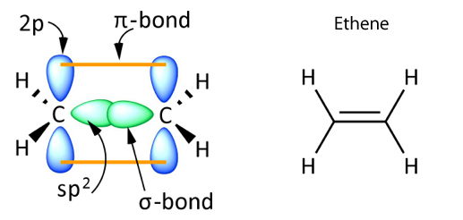 Sp Hybridization Carbon